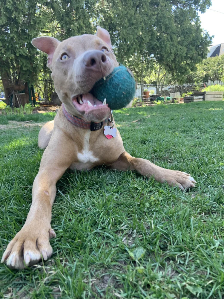 Forward Legal - Divorce Attorneys & Family Law in Madison, WI