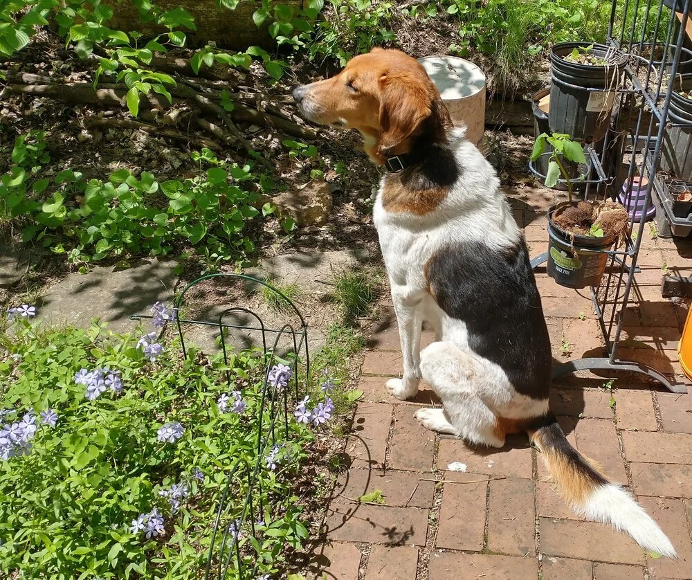 Forward Legal - Divorce Attorneys & Family Law in Madison, WI