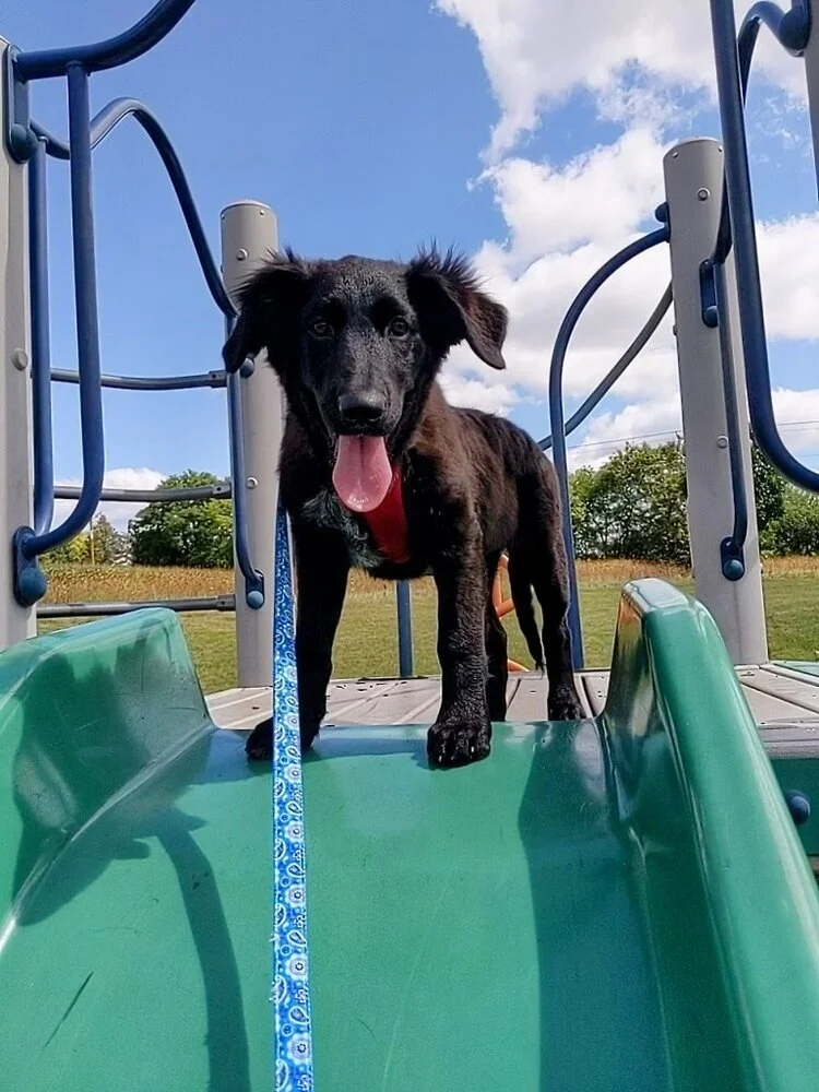 Forward Legal - Divorce Attorneys & Family Law in Madison, WI