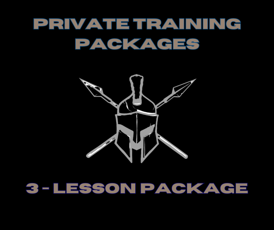 Private Training Package - 3 Lessons — Critical Response Training