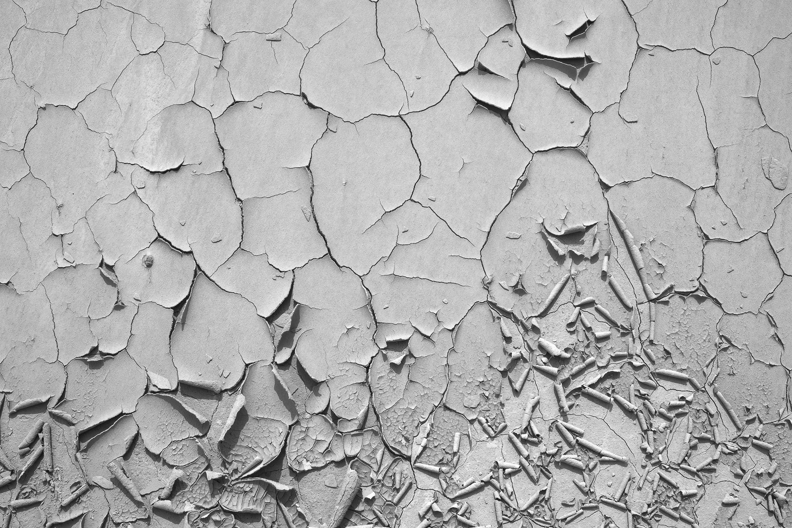 Mud and Wood — N. Becker Photography