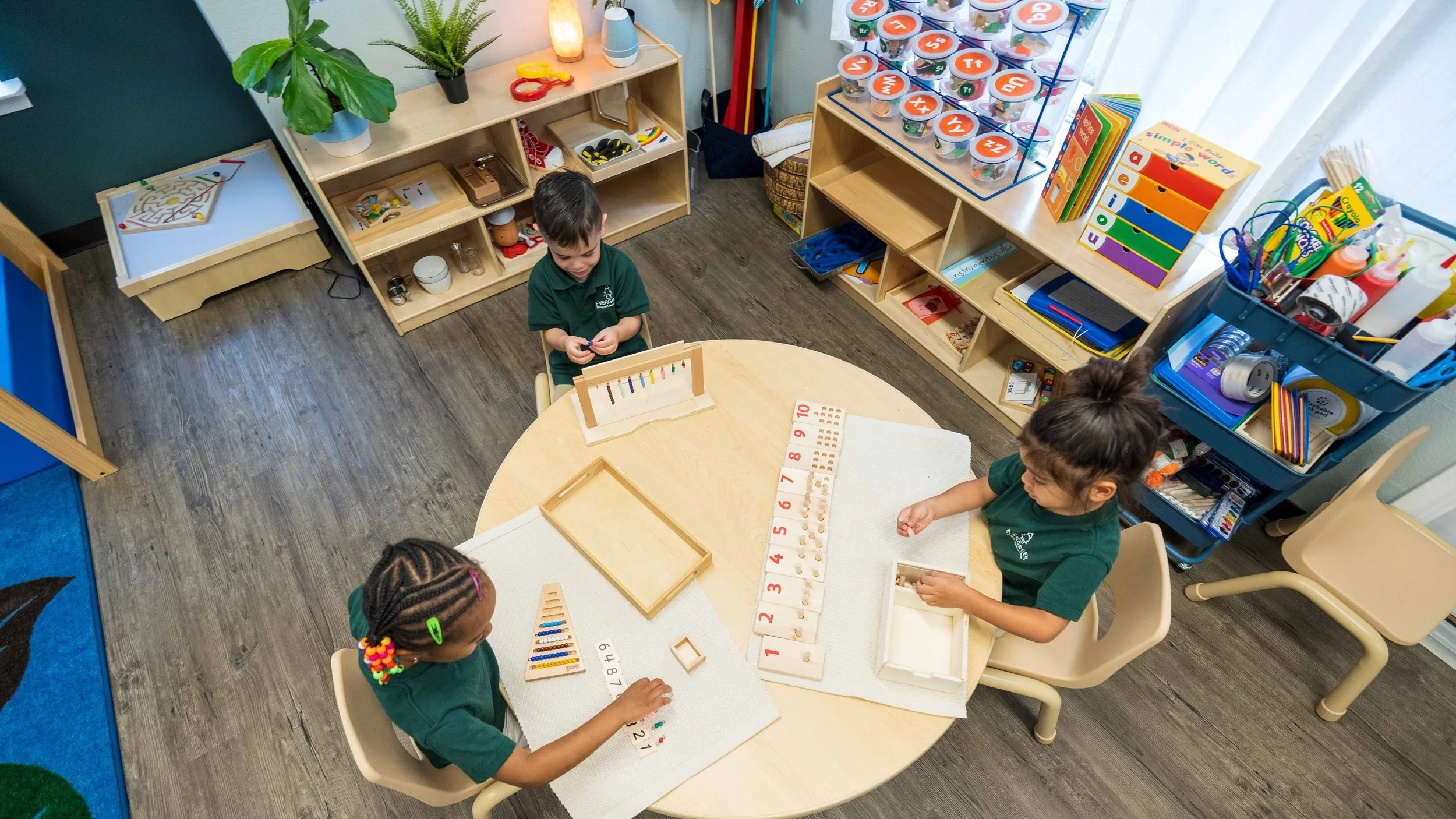 Enrollment — Evergreen