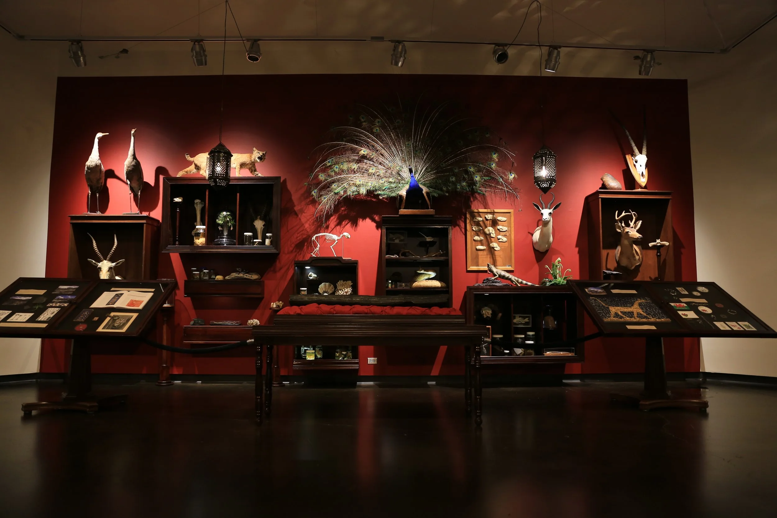 On the Origins of Dragons — Olin Hall Galleries