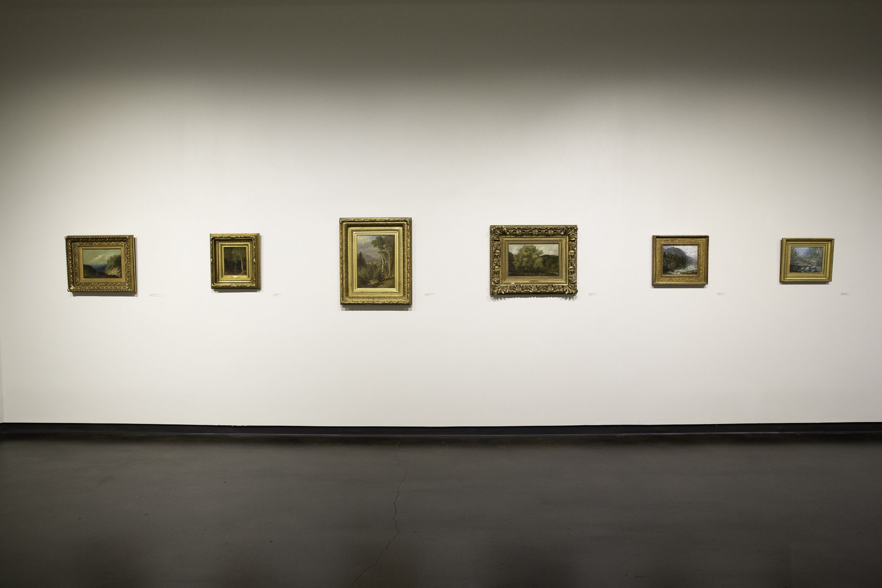 More than a Passing Observation — Olin Hall Galleries