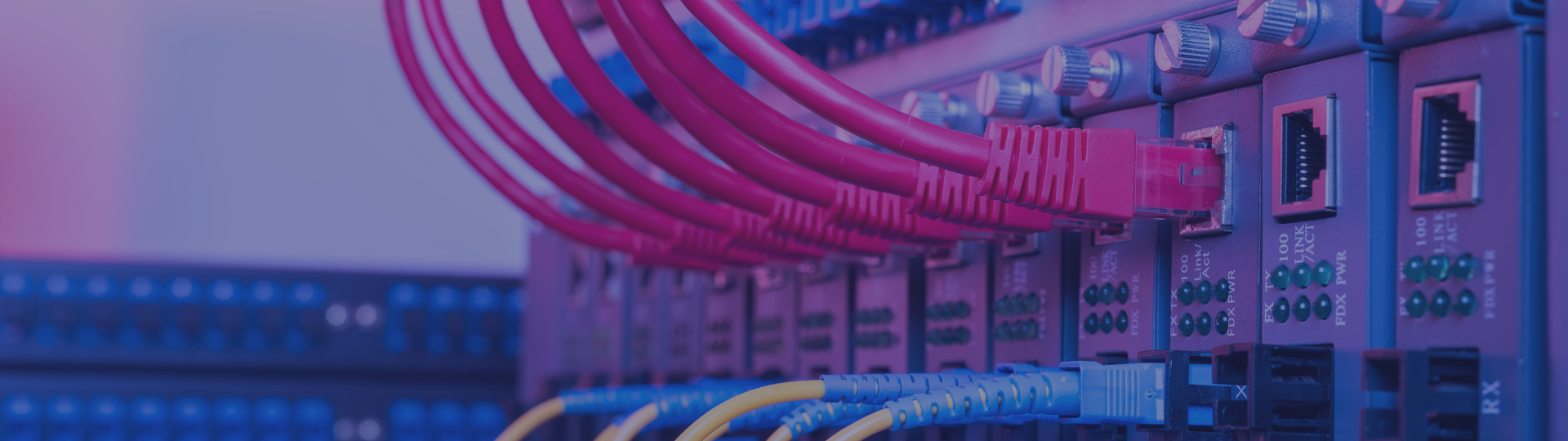 The Right Cabling Sets Your Business up for Success | Brightengale