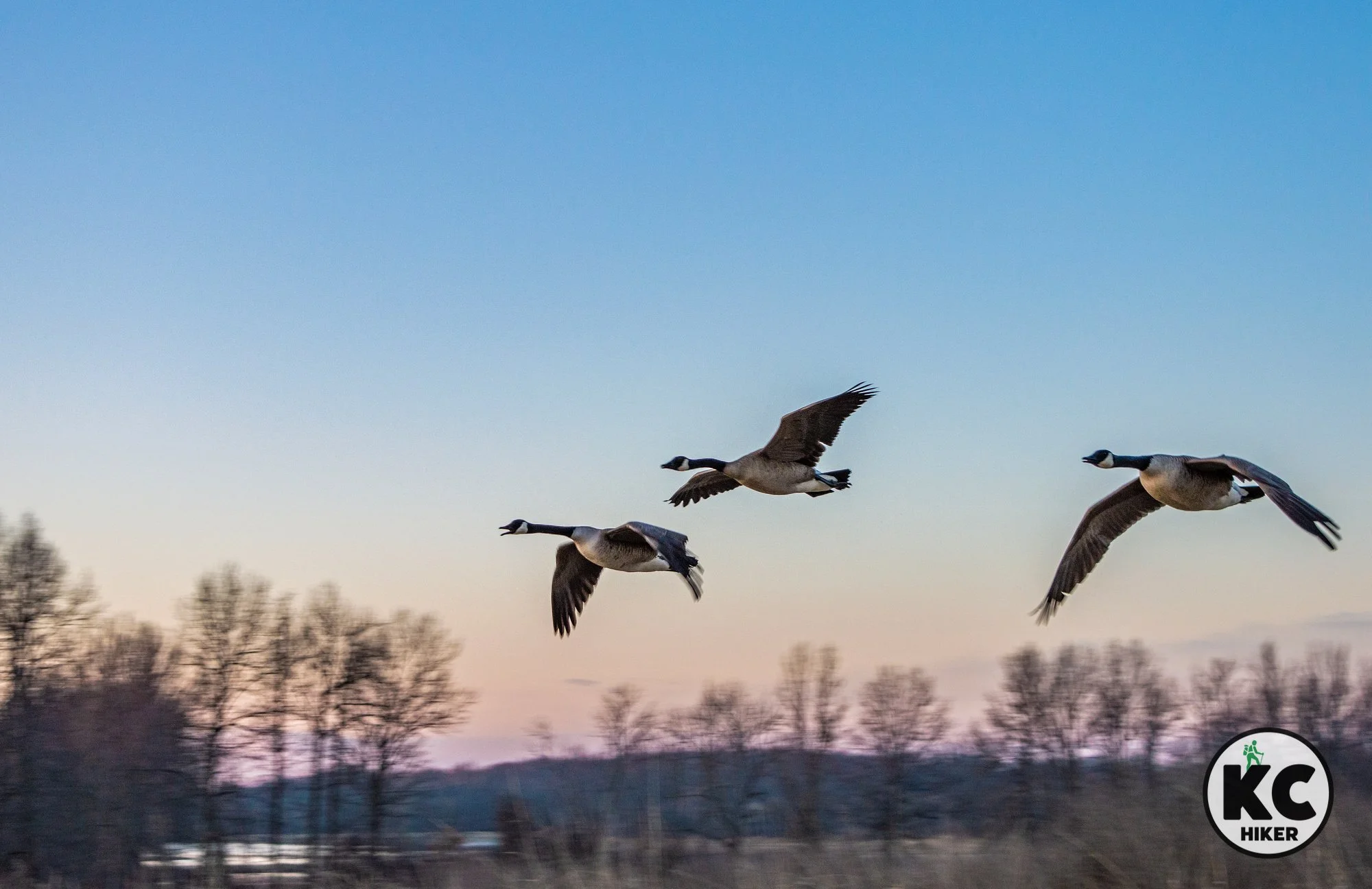 James A. Reed Wildlife Area: A haven for natural lovers - KC Hiker