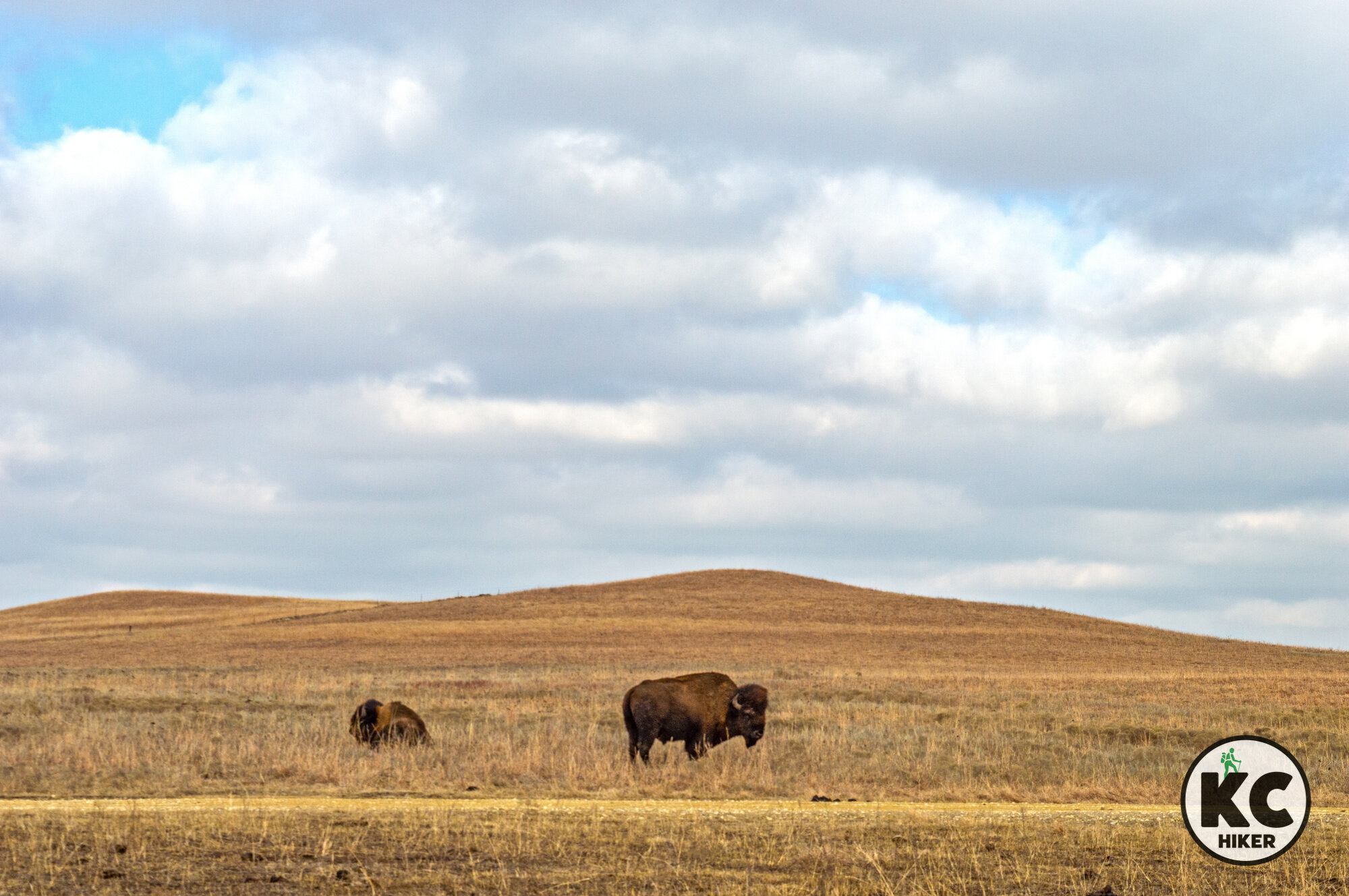 Reach For The Sky At Tallgrass Prairie National Preserve Kc Hiker