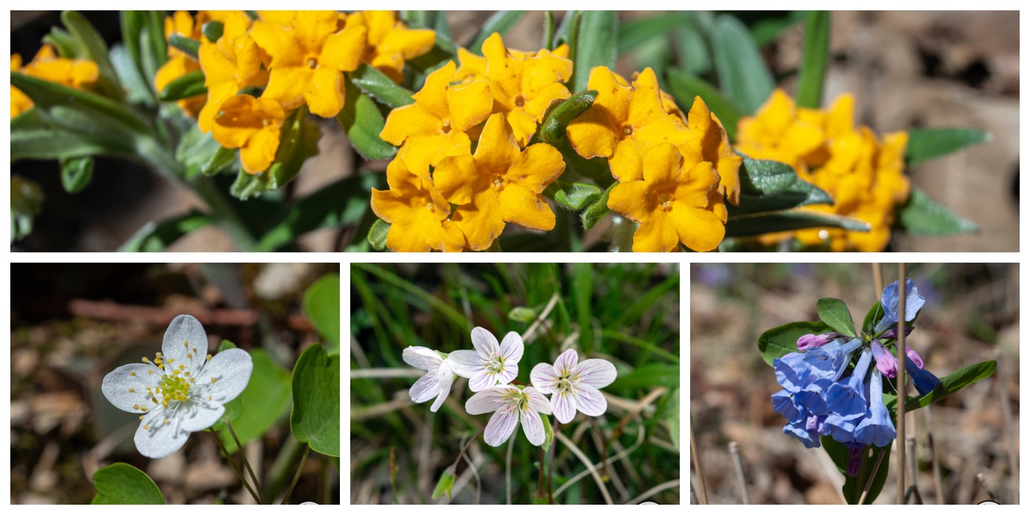 Graham Cave State Park: Waterfalls, rocky hills and a mysterious cavern ...