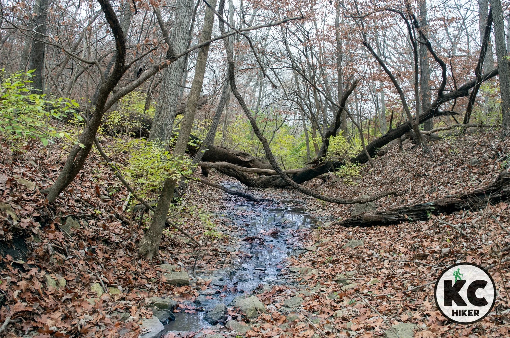 Larry’s Trail: An off-the-grid hike at Lake Jacomo - KC Hiker