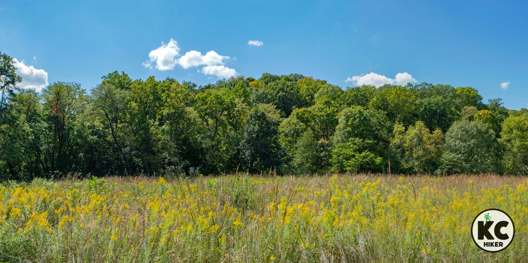 Explore native hardwood forest at Bluffwoods Conservation Area - KC Hiker