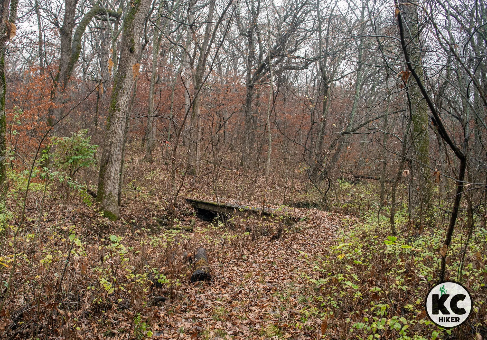 This Northland refuge preserves old-growth forest in Kansas City - KC Hiker