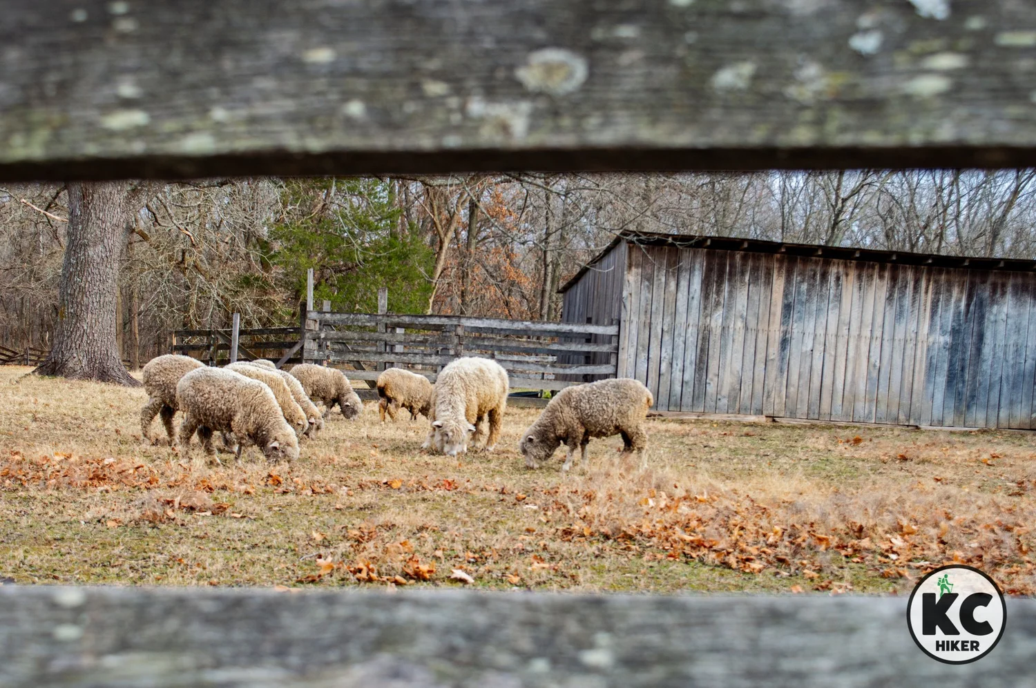 History Meets Nature at Watkins Mill State Park - KC Hiker