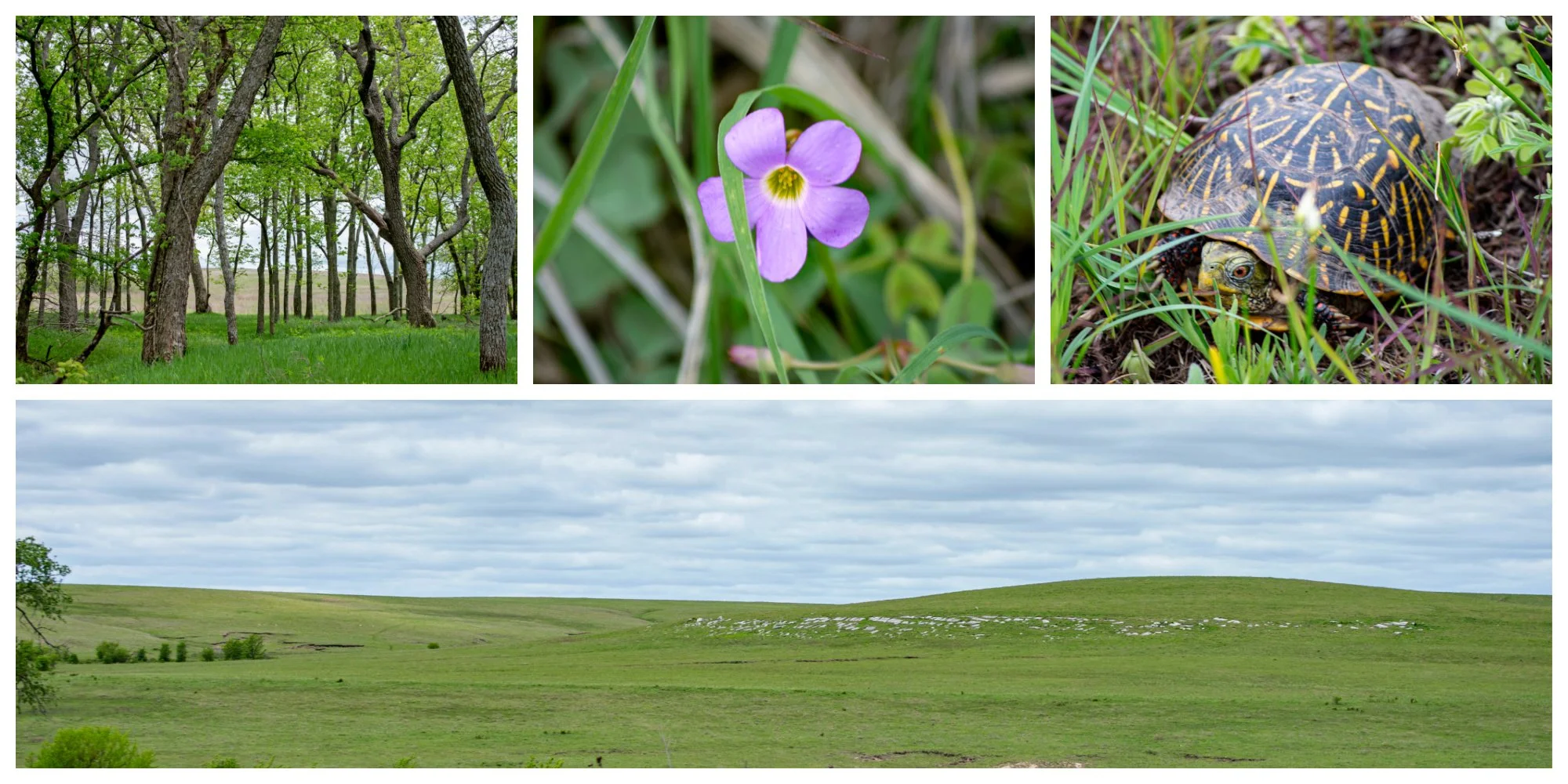 A scenic Flint Hills trifecta is only two hours from Kansas City - KC Hiker