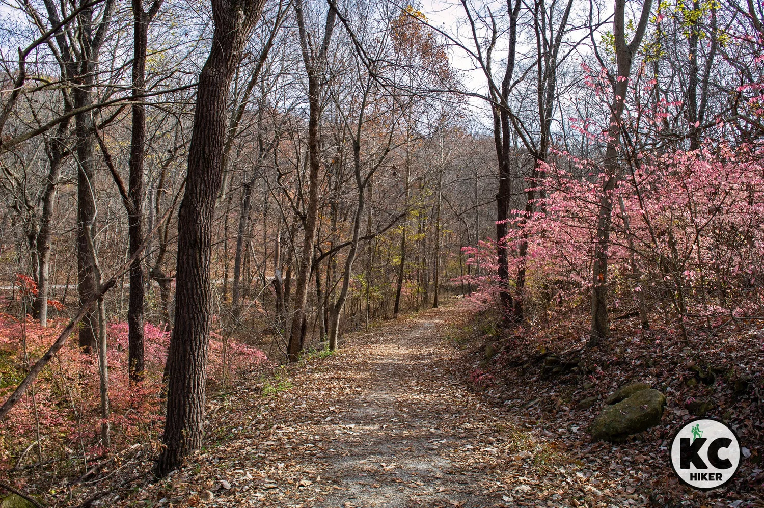 Hike Above Blue Springs Lake on the Lake Vista Trail - KC Hiker