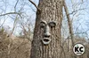 Iliff Commons preserves native prairie near Topeka - KC Hiker