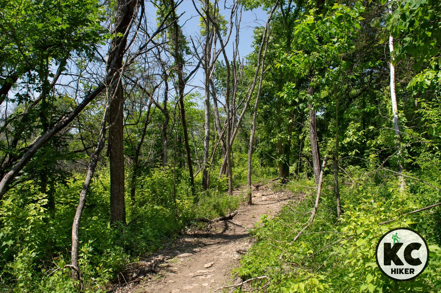 Explore The Rugged North Shore Of Clinton Lake Kc Hiker