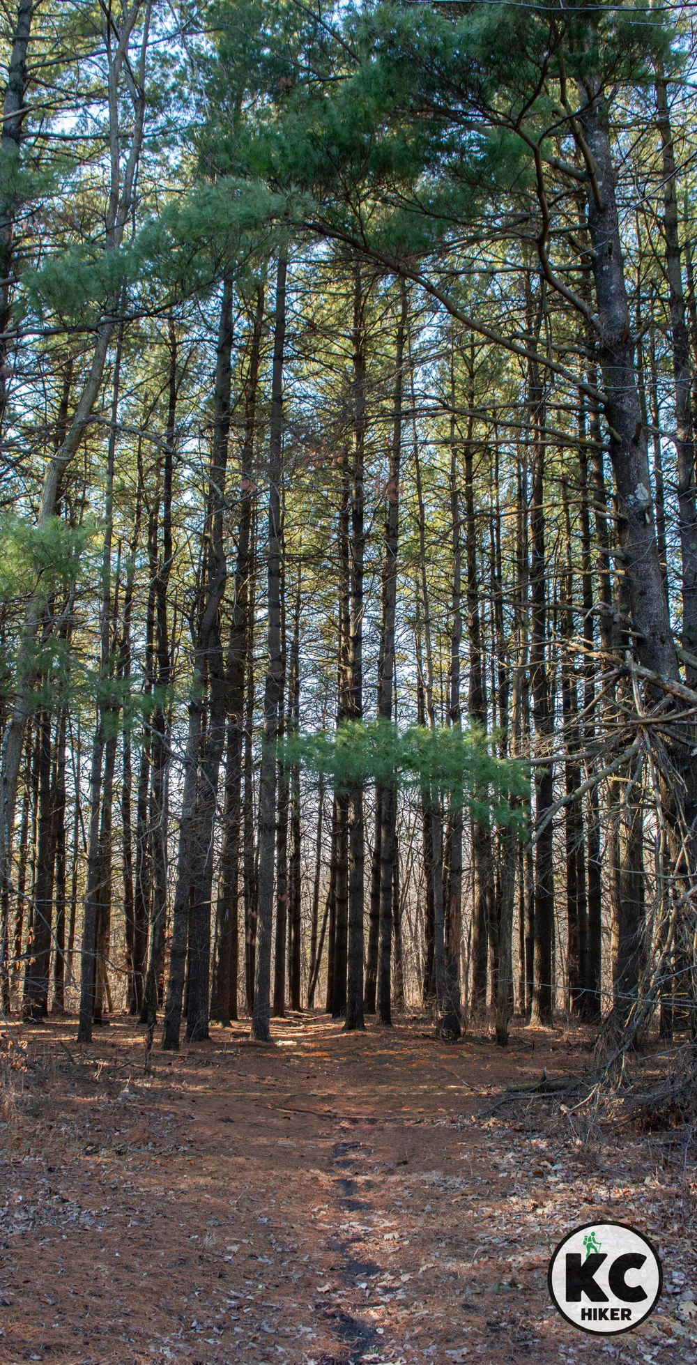 Woodlands interrupt the Iowa prairie at Stephens State Forest - KC Hiker