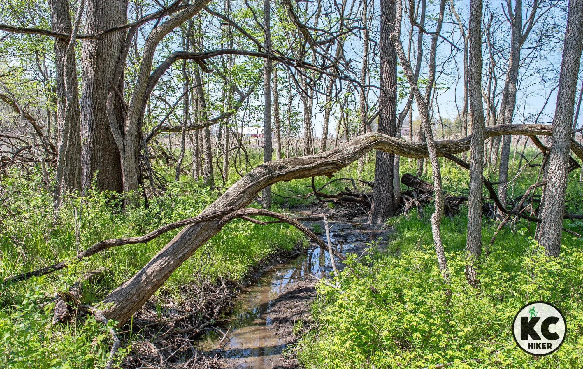 Get off the beaten path at Ferguson-Herold Conservation Area - KC Hiker