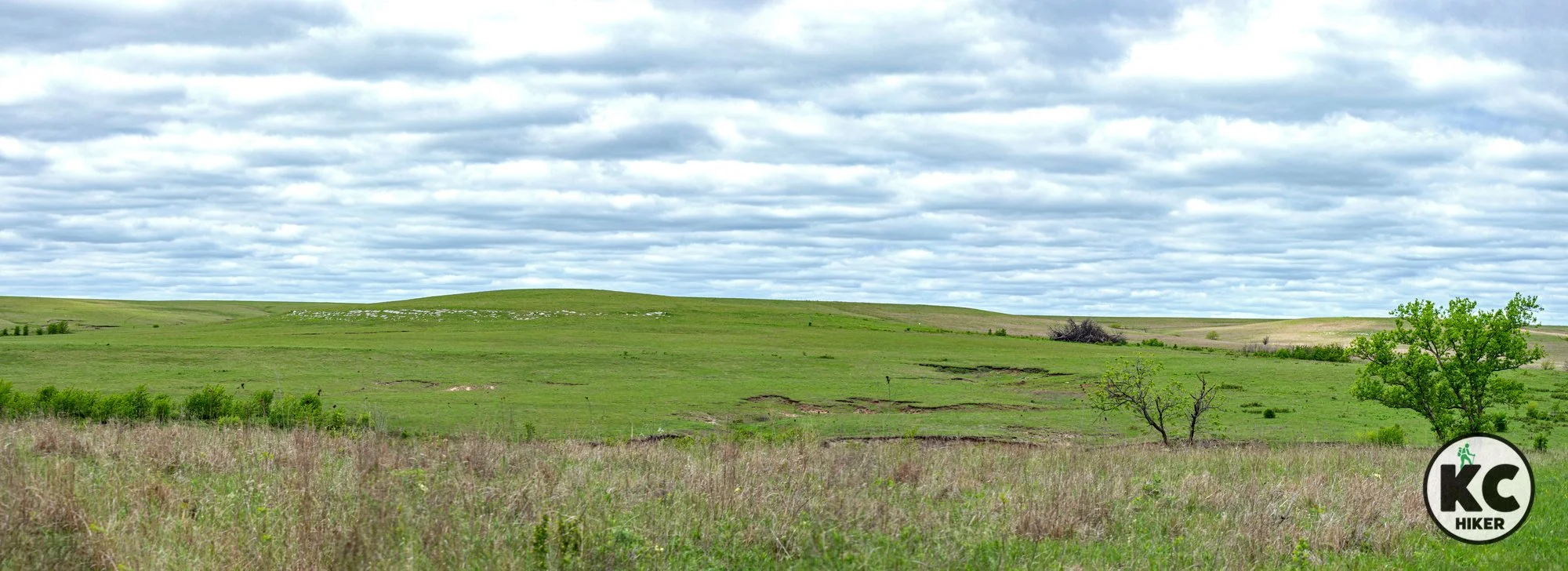 It’s nature in the raw at Flint Hills Tallgrass Prairie Preserve - KC Hiker