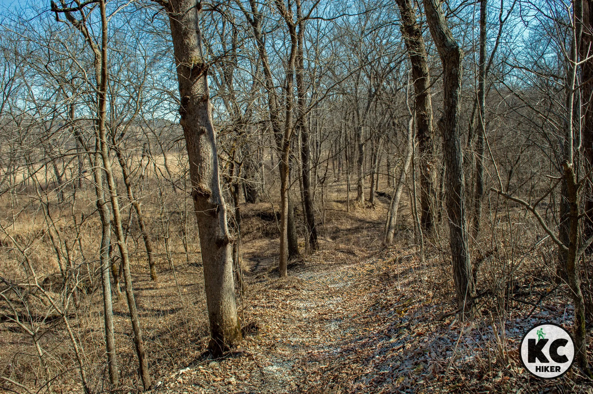 Woodlands interrupt the Iowa prairie at Stephens State Forest - KC Hiker