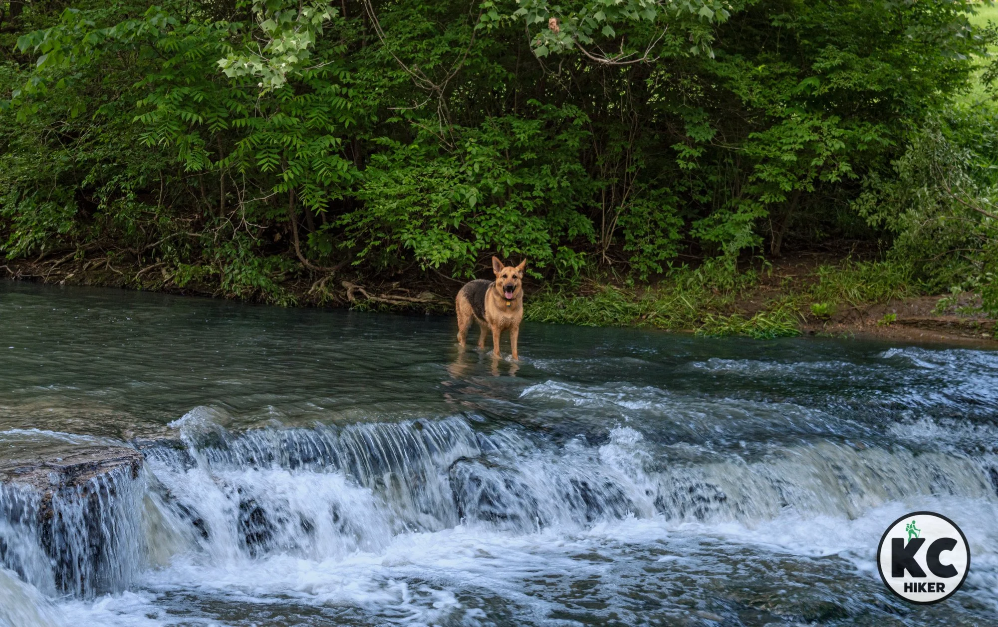 Experience falls and forest on the Northland's Line Creek Trail - KC Hiker
