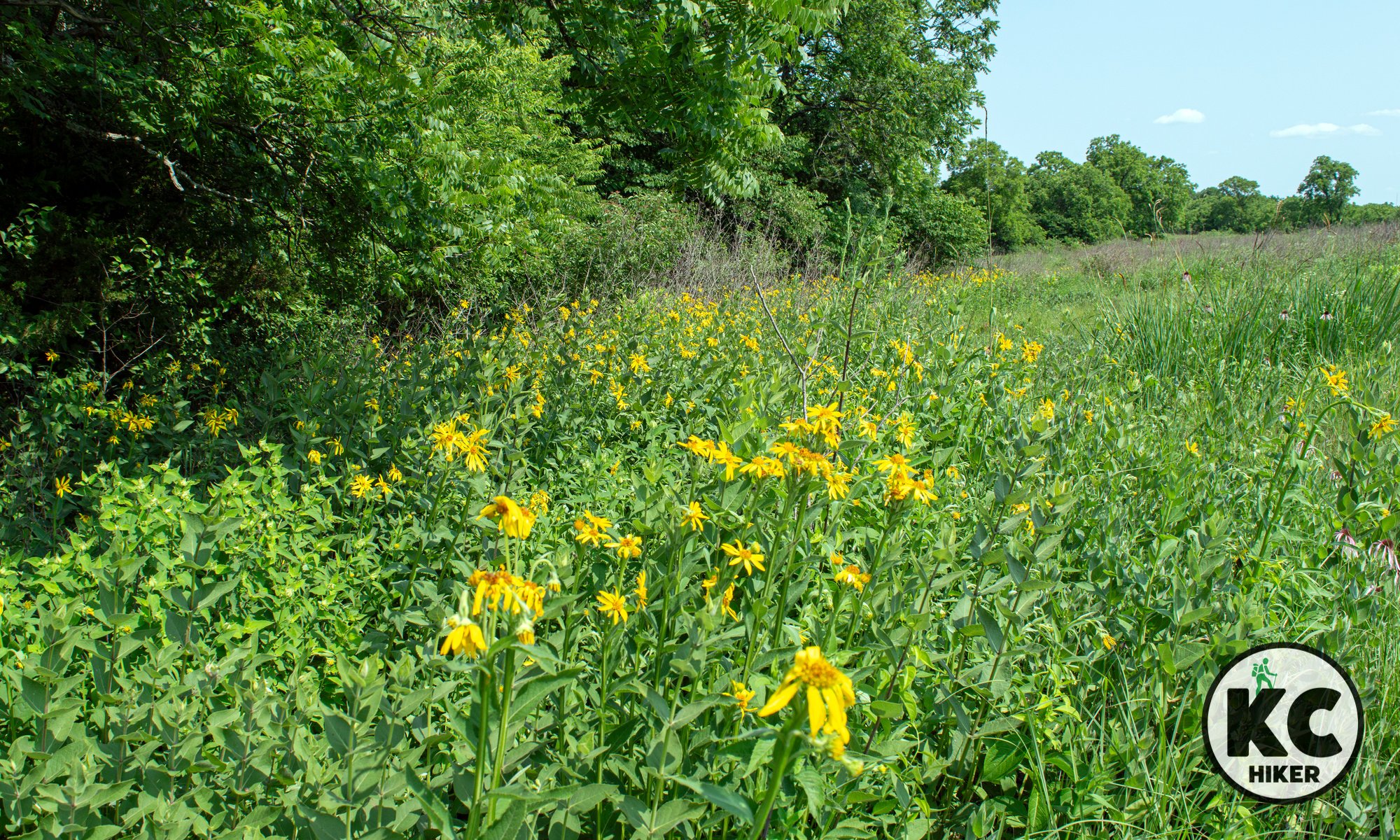 Dorsett Hill reserve is a colorful remnant of Missouri's prairie past ...