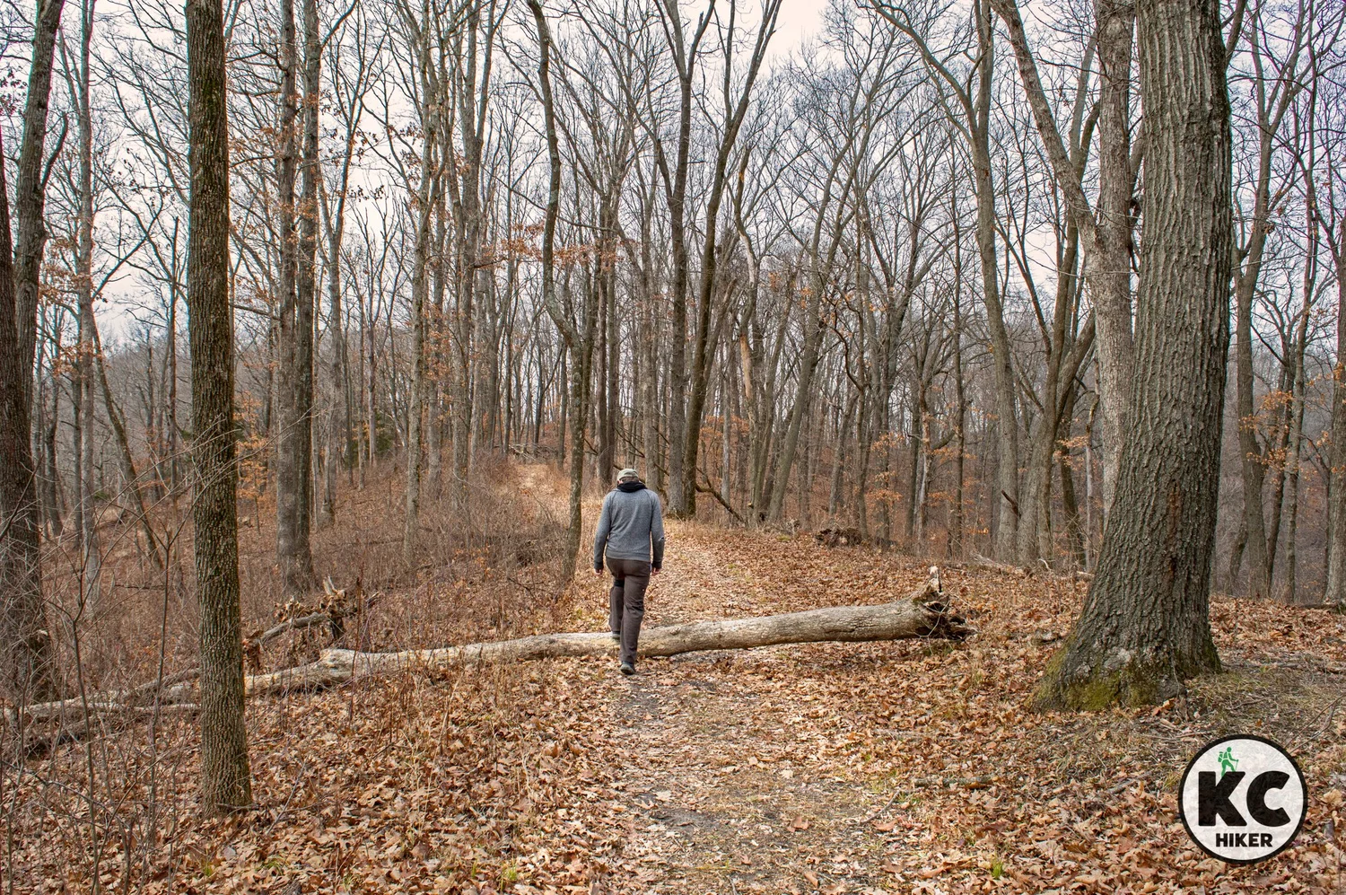 Towering cliffs and serenity: KATY Trail at Hart Creek Conservation ...