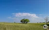 Iliff Commons preserves native prairie near Topeka - KC Hiker
