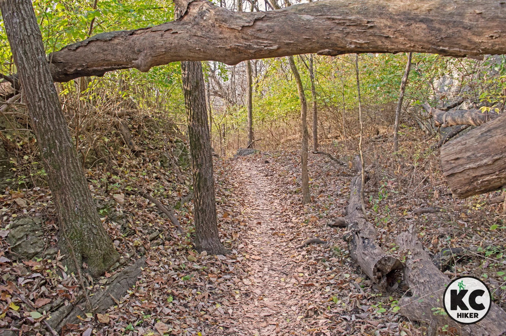 Lake Jacomo: Bobcat Trail - KC Hiker