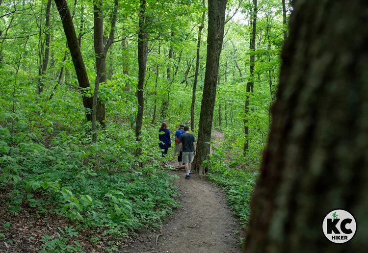 Maple Woods Natural Area Preserves Old-Growth Forest in KC’s Northland ...