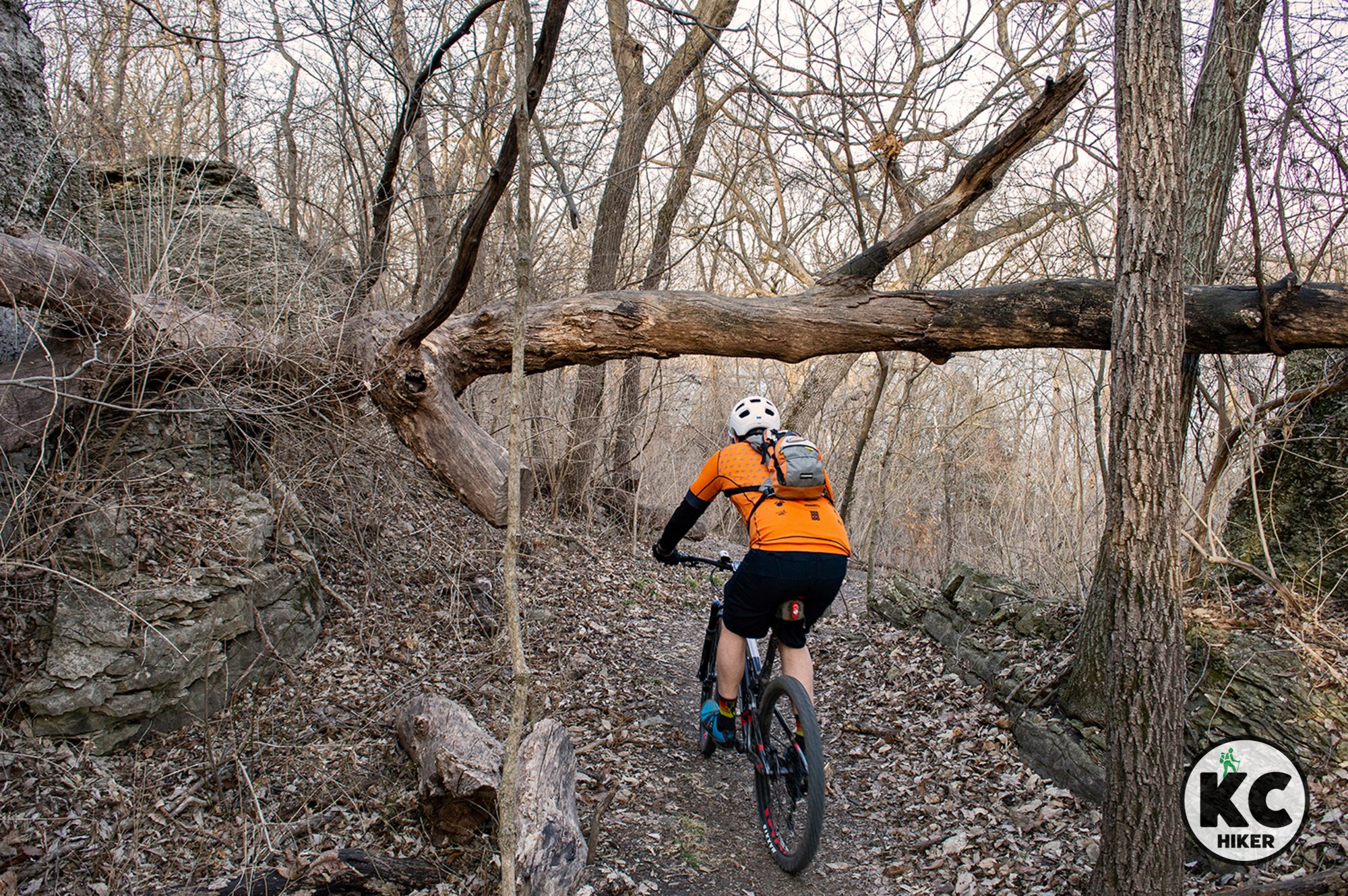 Lake Jacomo: Bobcat Trail - KC Hiker
