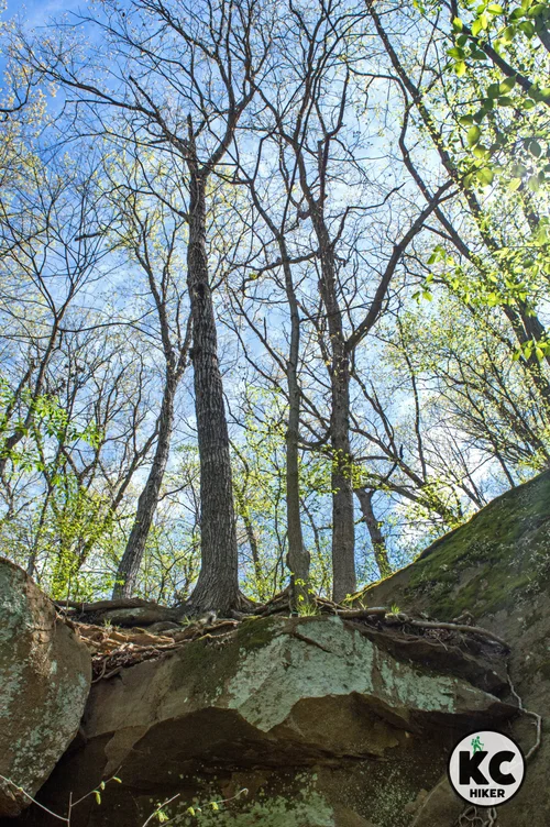 Explore the rolling green hills of northern Missouri at Crowder State ...