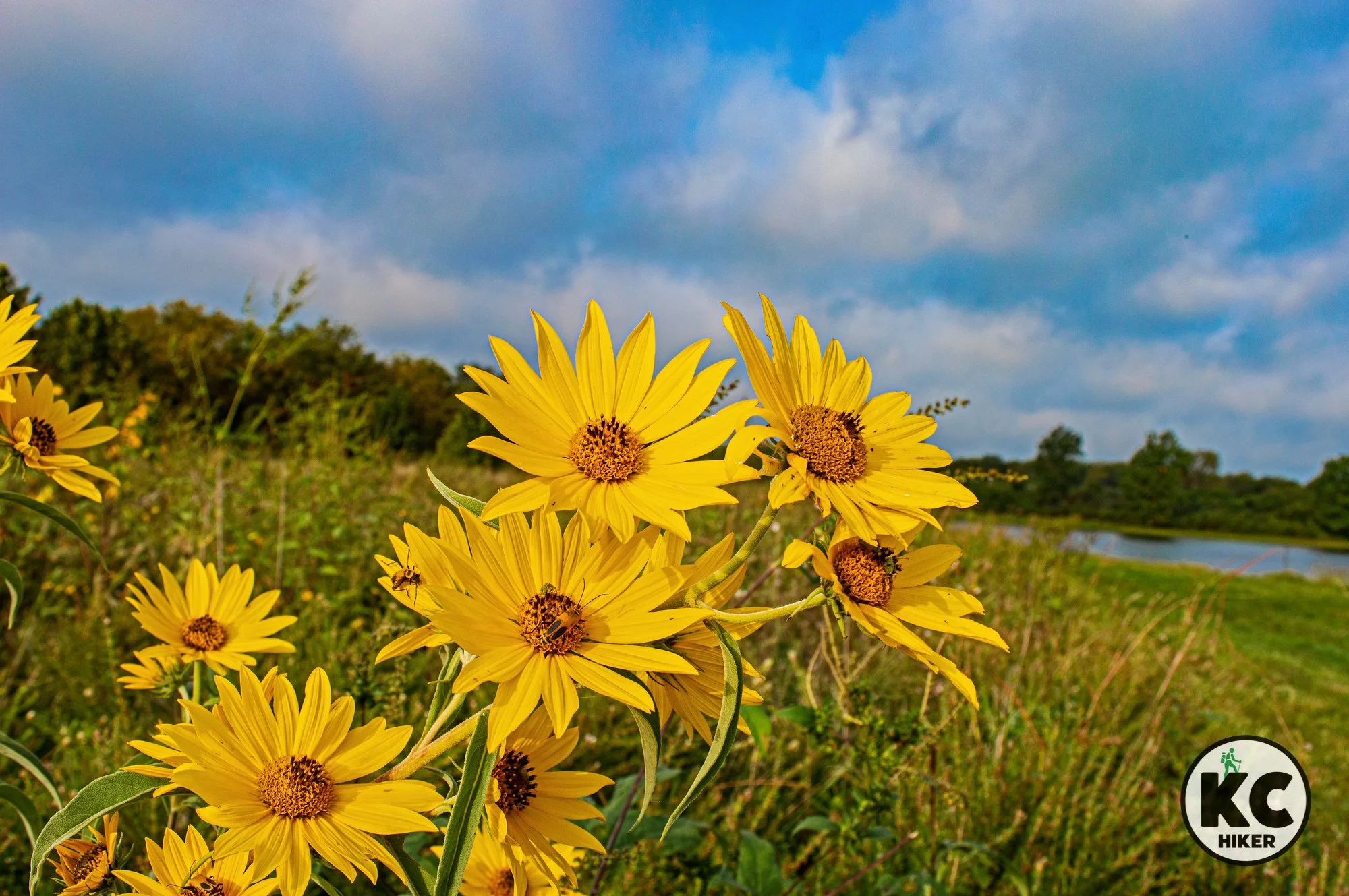 James A. Reed Wildlife Area: A haven for natural lovers - KC Hiker