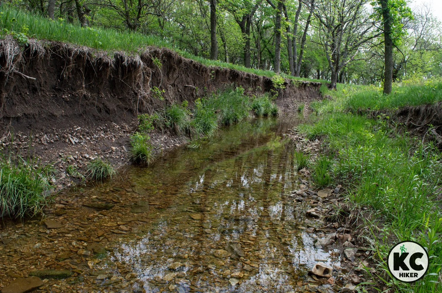It’s nature in the raw at Flint Hills Tallgrass Prairie Preserve - KC Hiker