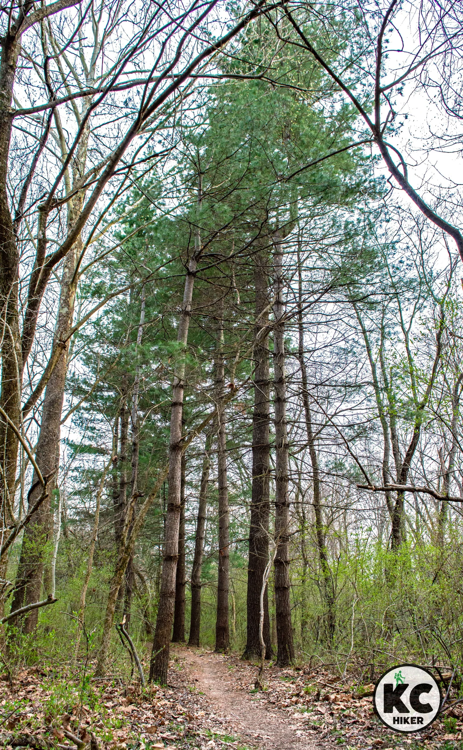 Lake Jacomo: Bobcat Trail - KC Hiker