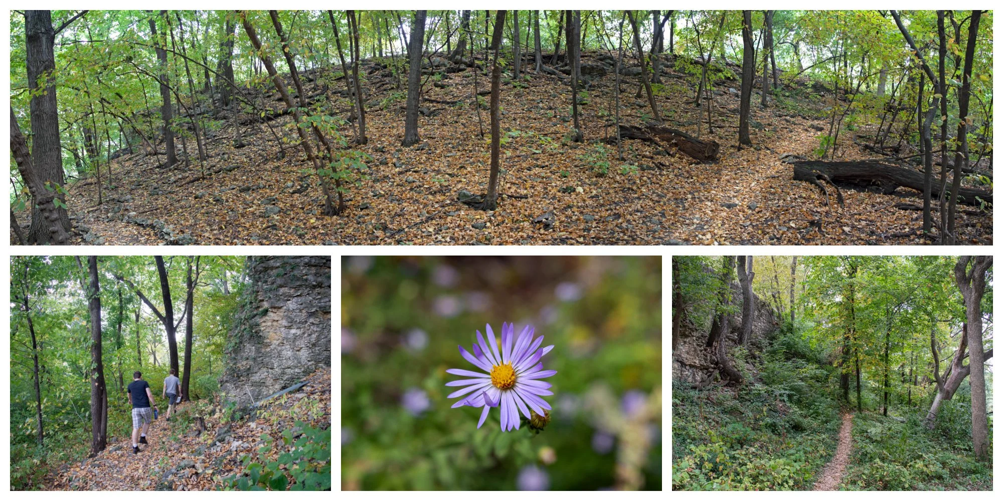 Urban walks: Our guide to hiking the big city - KC Hiker