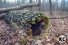 Moon Loop is a journey through a once-lost forest - KC Hiker
