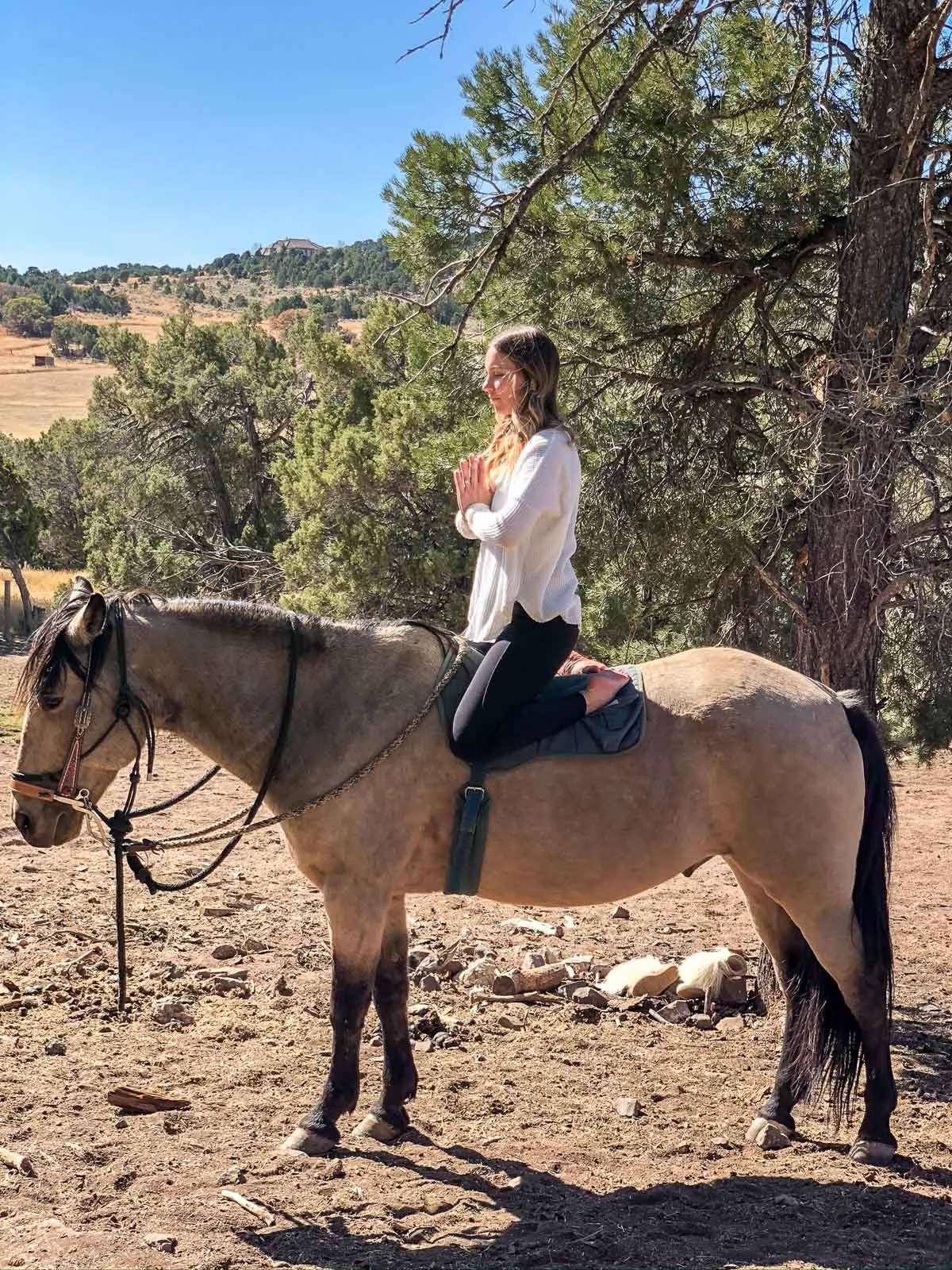 A Weekend Getaway to Carbondale, Colorado on Horse Ranch — That Boujee ...