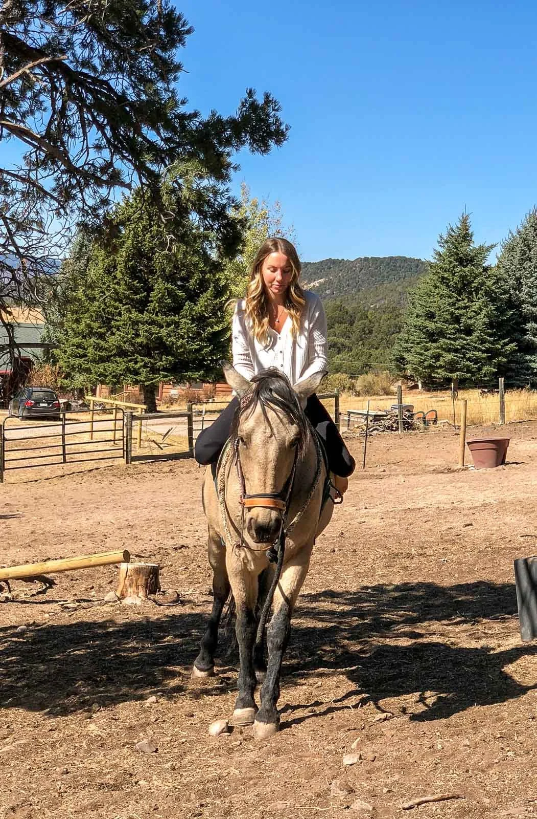 A Weekend Getaway to Carbondale, Colorado on Horse Ranch — That Boujee ...
