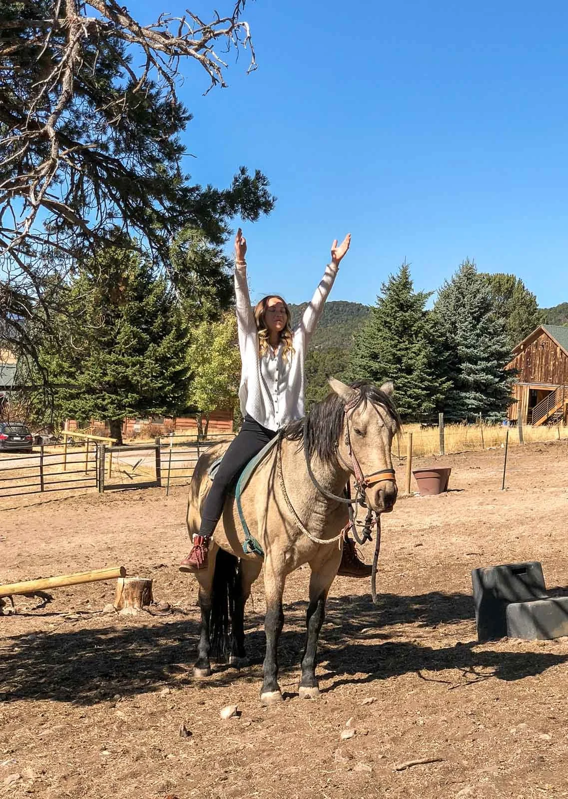 A Weekend Getaway to Carbondale, Colorado on Horse Ranch — That Boujee ...
