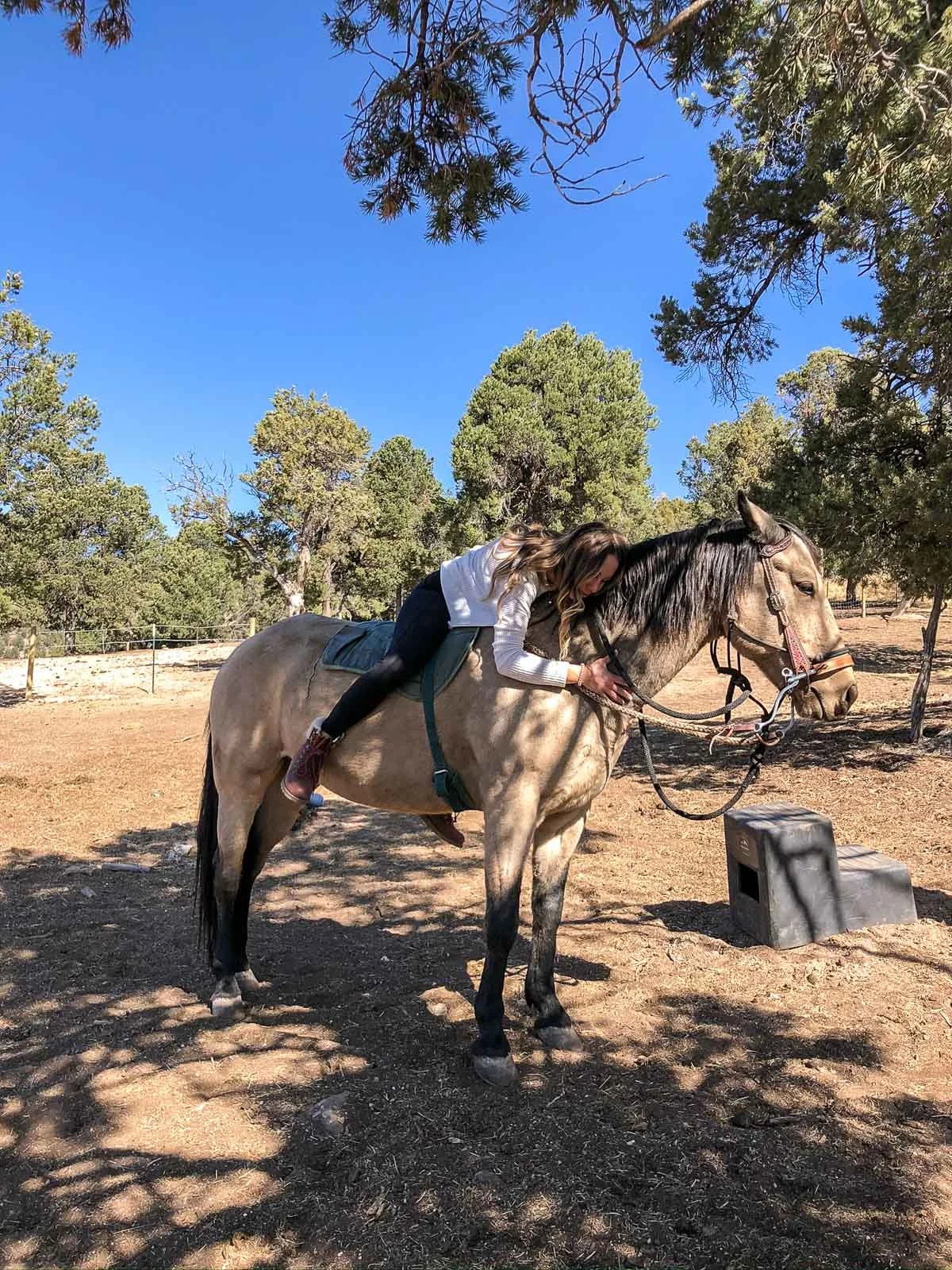 A Weekend Getaway to Carbondale, Colorado on Horse Ranch — That Boujee ...