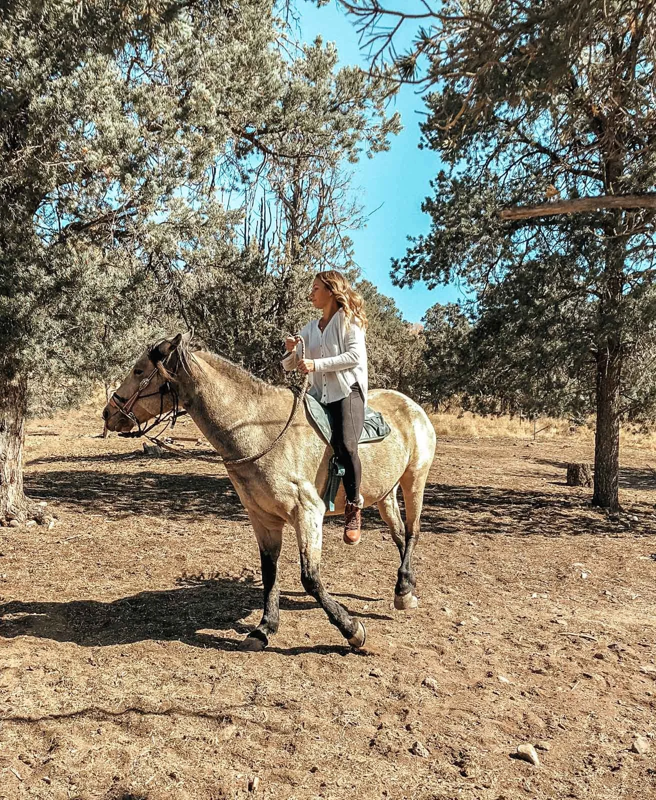 A Weekend Getaway to Carbondale, Colorado on Horse Ranch — That Boujee ...