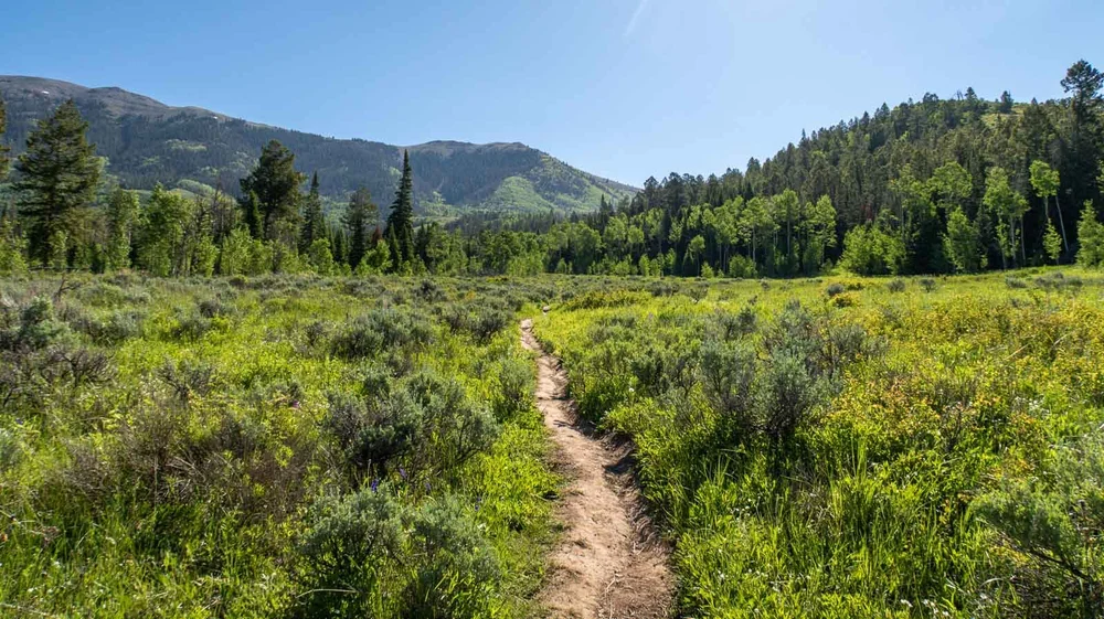 ACORN CREEK LOOP - Silverthorne, CO — That Boujee Bohemian | Travel ...