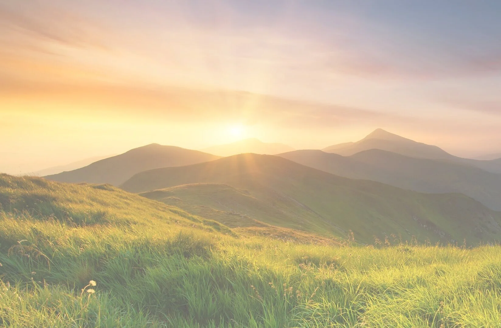 Our Focus — Horizon Point