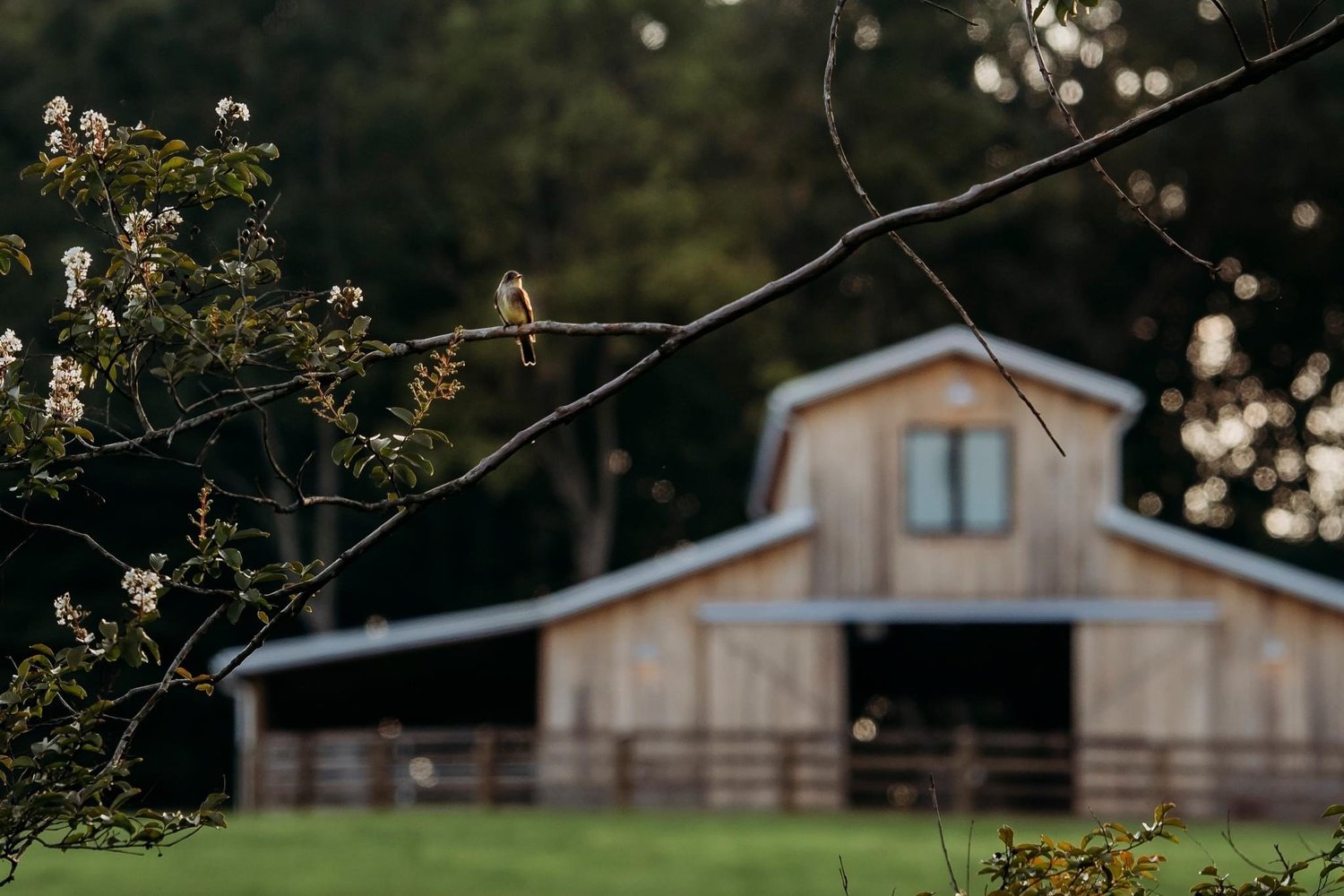 The Cedars at Carr Farm