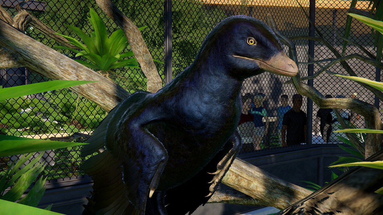 Animals — Prehistoric Kingdom