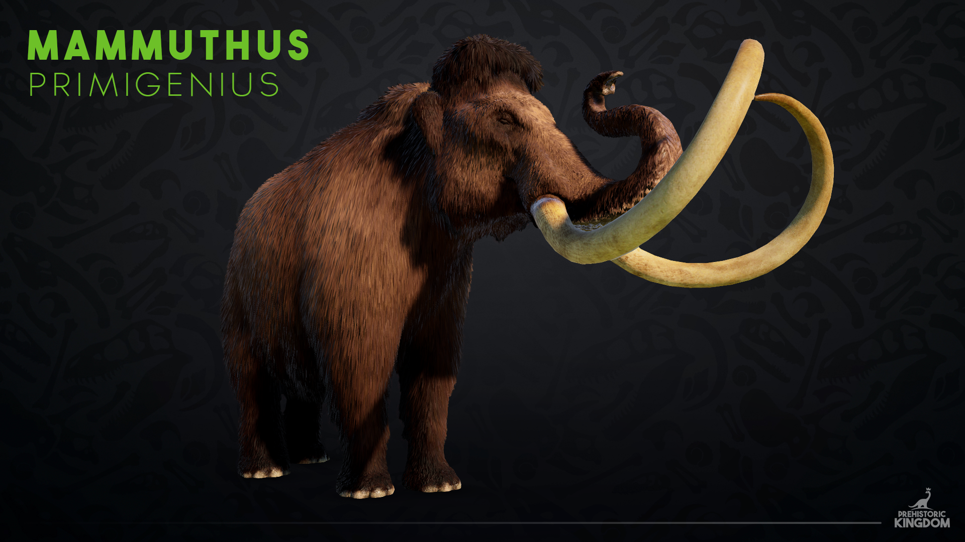 Animals — Prehistoric Kingdom