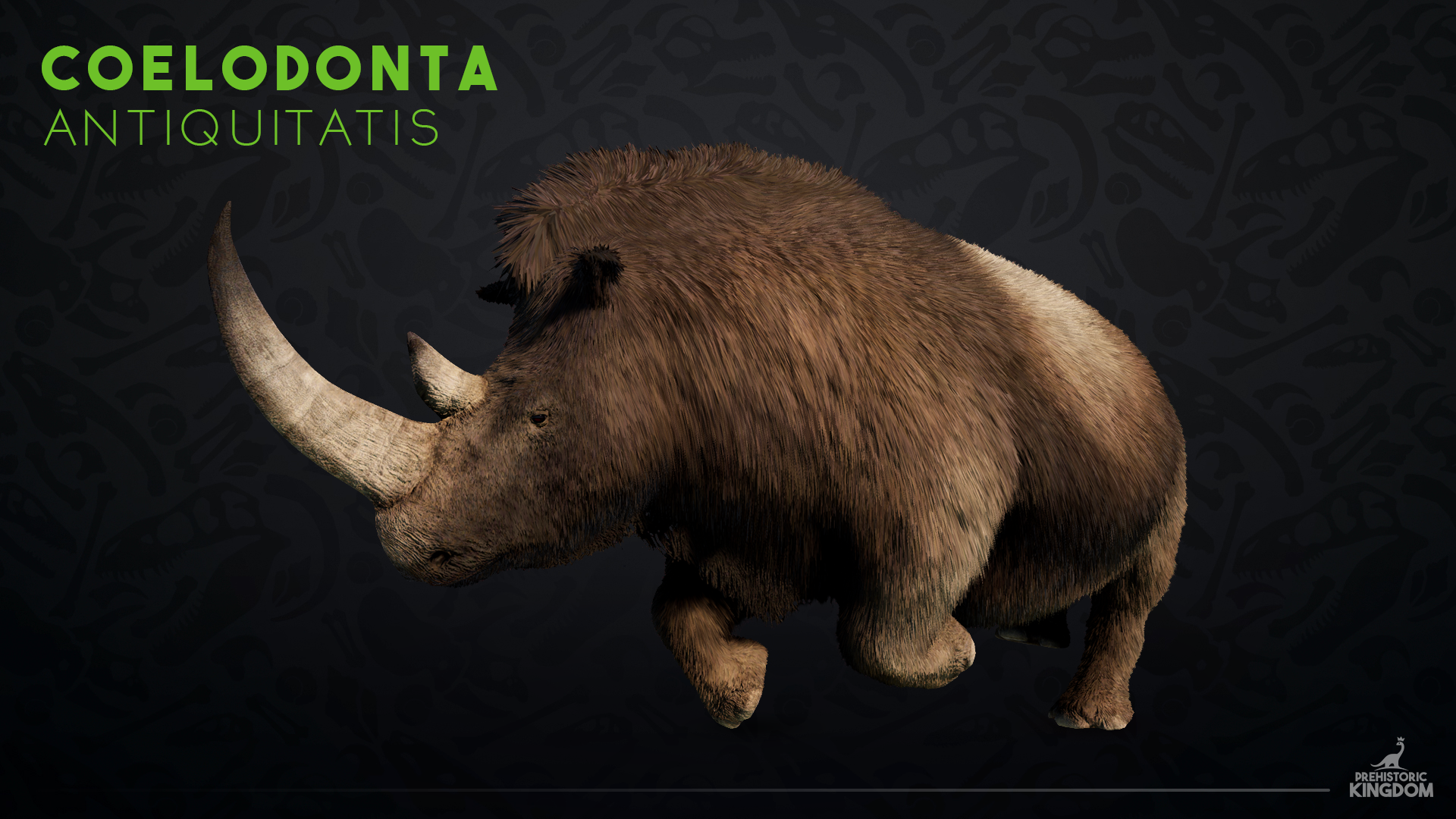 Animals — Prehistoric Kingdom