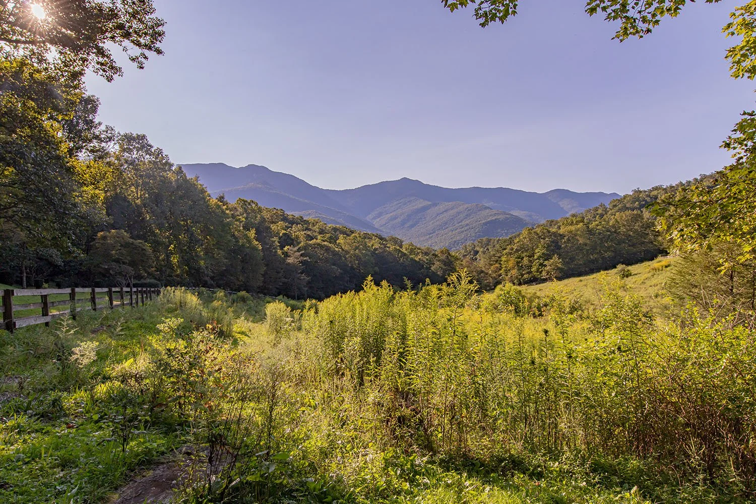 Mount Mitchell Eco Retreat