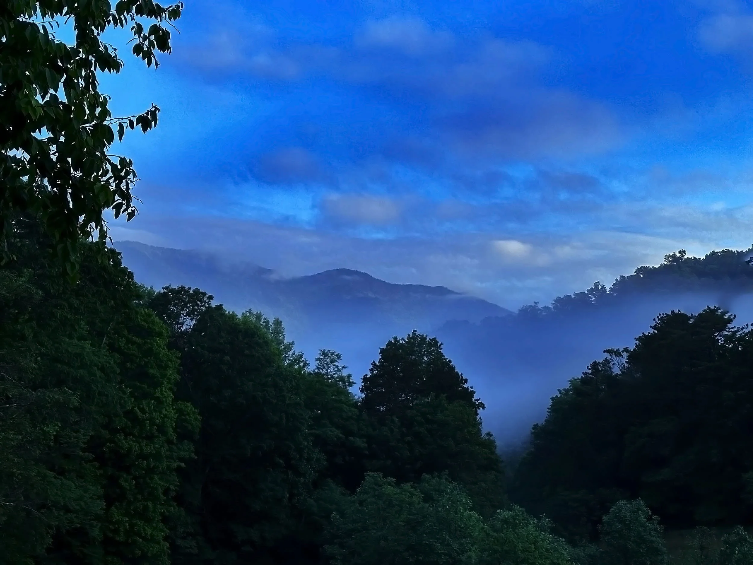 Blue Ridge Parkway Lodging Room — Mount Mitchell Eco Retreat